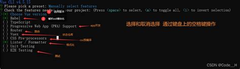 vue cli 的安装与卸载 创建vue项目 五 卸载vuecli csdn博客