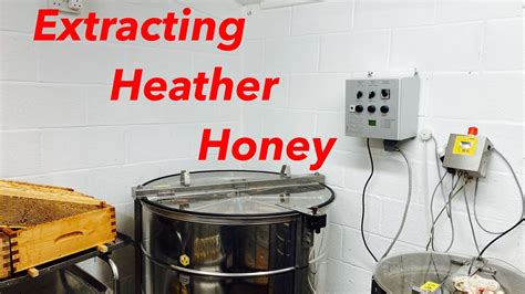 Swales Honey Extracting Heather Honey YouTube