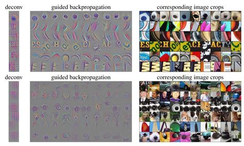 saliency maps in convolutional neural networks