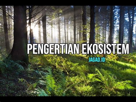 Kupas Tuntas Pengertian Ekosistem Dan Beragam Contohnya Dalam