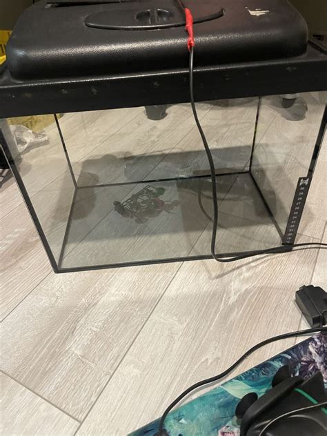 Akwarium 30 L z wyposazeniem Katowice Janów Nikiszowiec OLX pl