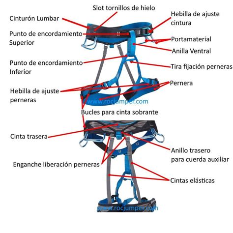 Partes Que Componen Un Arnes De Seguridad