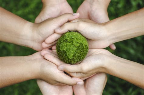 Drei Säulen der Nachhaltigkeit GoClimate