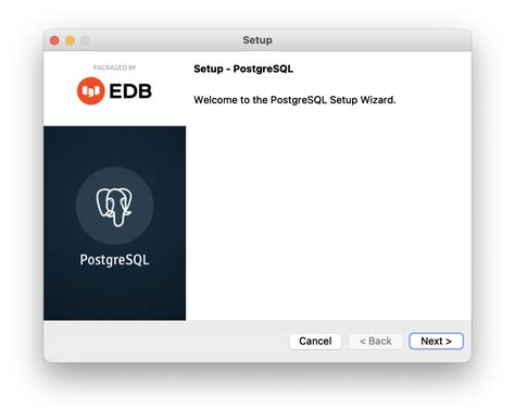 How To Install Postgres On Mac Database Star