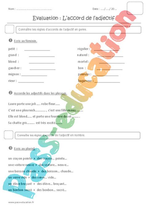 Accord de l adjectif qualificatif CE1 Cycle 2 Exercice évaluation