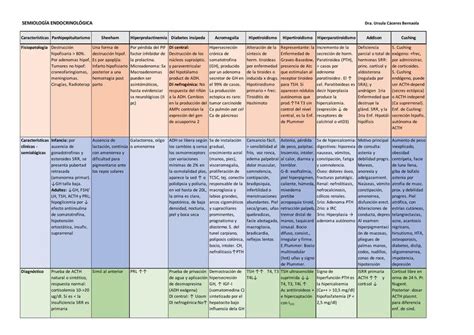 Semiología Endocrino Med Life XXI uDocz