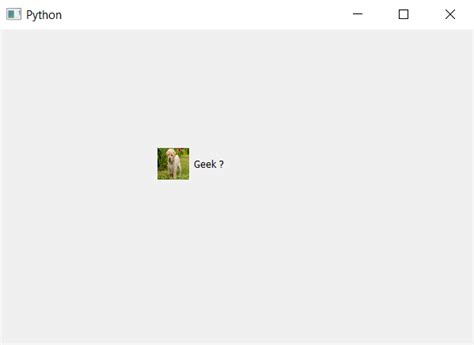 PyQt5 Indicator Skin Of Check Box GeeksforGeeks