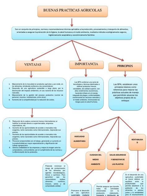 Con esta información elabora un organizador gráfico que resuma lo que