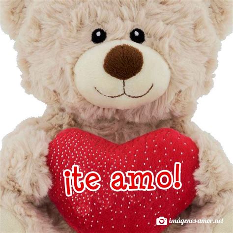 Imagenes De Osos Con Frases De Amor Imagenes De Ositos Con Frases