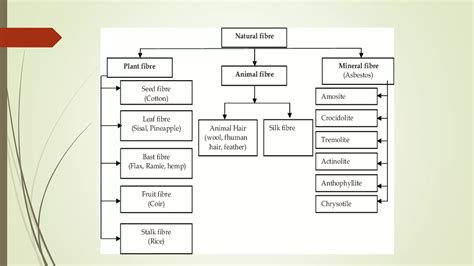 Classification Of Textile Fibre Ppt