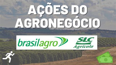 MAIS DE 9 DE YIELD AÇÕES DO AGRONEGÓCIO QUAL INVESTIR AGRO3 OU