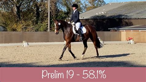Unaffiliated Bd Prelim Dressage Test Youtube