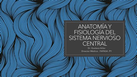 Anatomia y fisiología del Sistema Nervioso