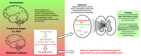 Graphical Abstract IMAGE EurekAlert Science News Releases