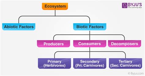 Ecosystem Structure Functions Units And Types Of Ecosystem