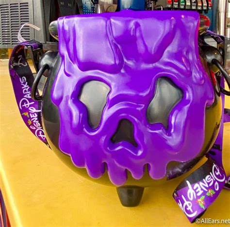 9 Souvenirs Youll Totally Regret Buying In Disney World Allearsnet