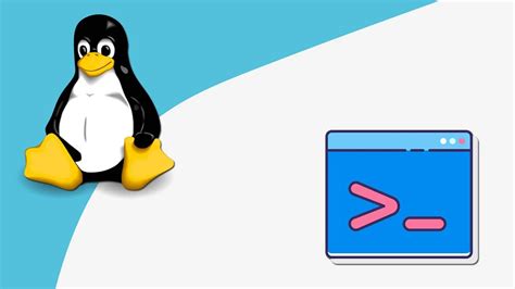 Linux Command Line The Essential Guide For Beginners And Experts