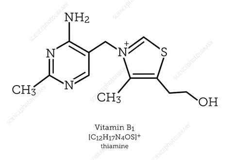 Molecular Structure Of Vitamin B1 Stock Image C040 4328 Science