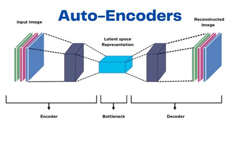 autoencoders and variational autoencoders dataspace insights