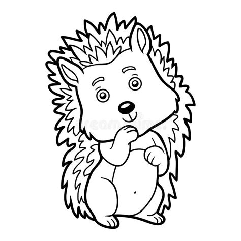 Livre De Coloriage Hérisson Illustration de Vecteur Illustration du