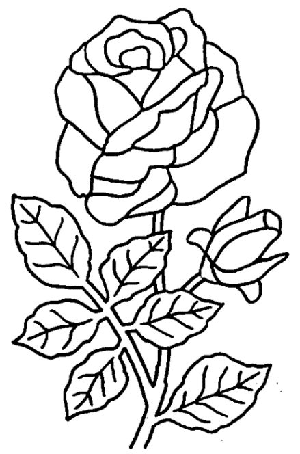 Ausmalbilder Zum Drucken Malvorlage Rose Kostenlos 1