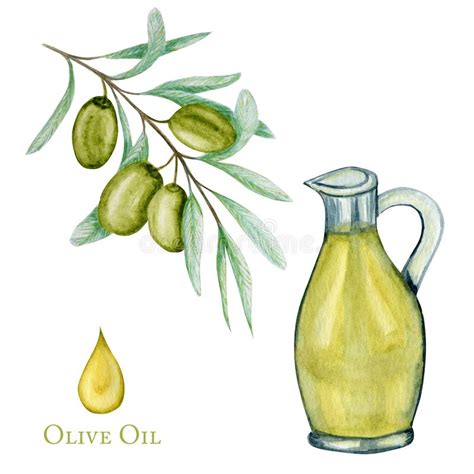 Watercolor Olive Oil Glass Bottle Olives Branch And Oil Drop Isolated