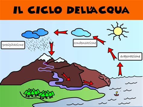 II sezione facciamo un pò di motoria insieme e approfondiamo il ciclo