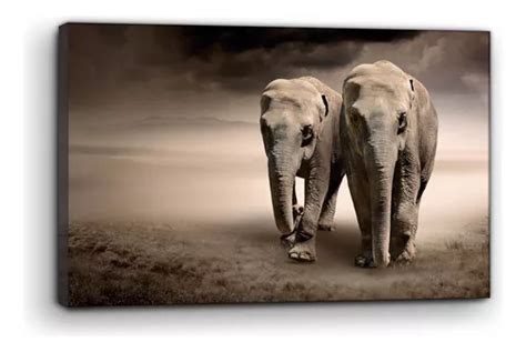 Cuadro Moderno Canvas Dos Elefantes 60x90cm Envío gratis
