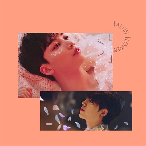 Seventeen Fallin Flower Edit Scoups Jeonghan Jeongcheol Jeonghan