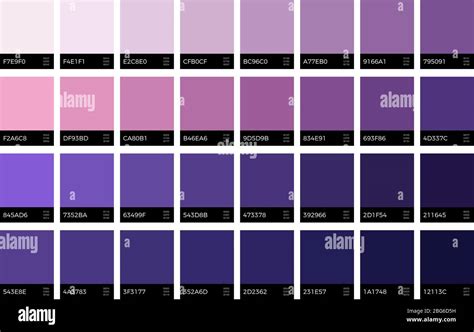 Trendy Ultra Violet Swatches New Season Fashion Lavender Colors Vector