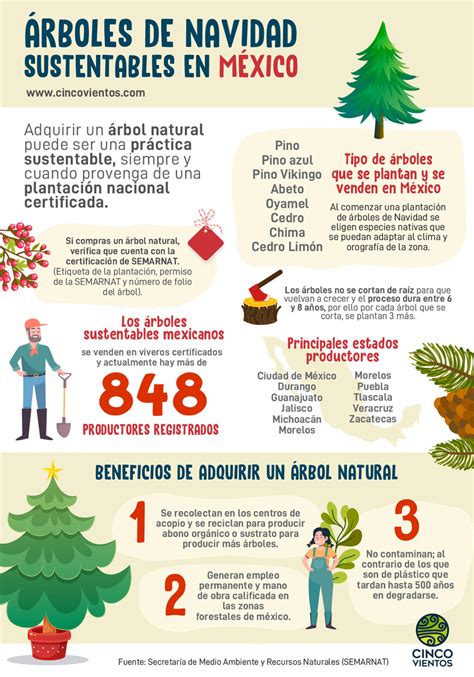 Details 48 tipos de árboles de navidad naturales en méxico Abzlocal mx