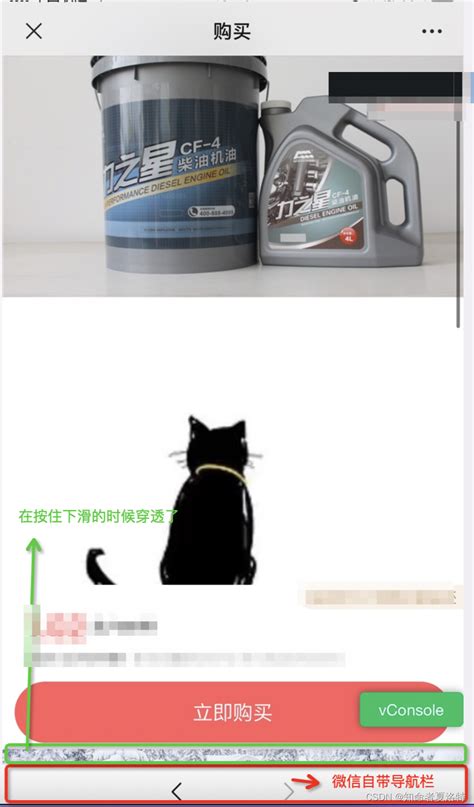 微信浏览器打开h5页面底部导航栏 左右箭头 固定或隐藏（vue） 平衡过手机打开h5页面 底部第一次有左右箭头 csdn博客