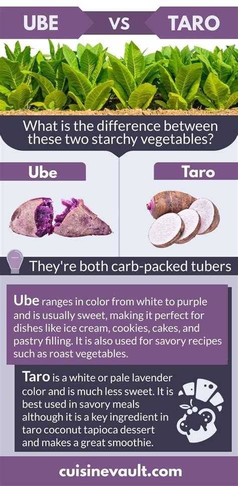 Ube Vs Taro What S The Difference