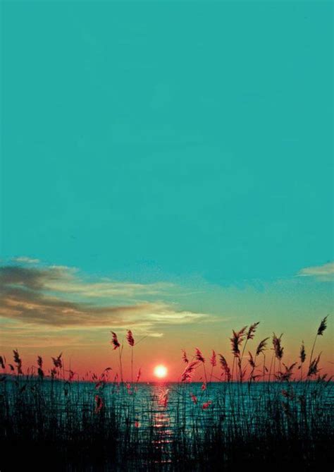 The Sun Is Setting Over The Water And Reeds Are In The Foreground