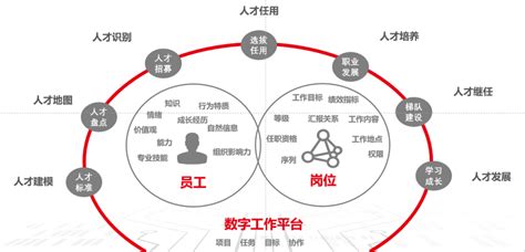 数智化时代如何利用数智人力高效管理人才 财富号 东方财富网