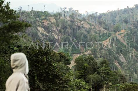 KERUSAKAN HUTAN PEGUNUNGAn DI ACEH ANTARA Foto