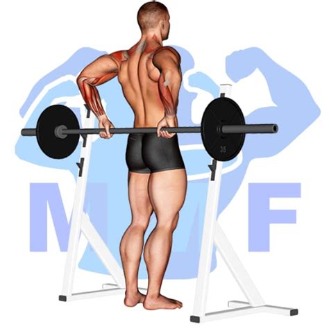 Barbell Incline Row Quick Guide To Proper Form And Tips