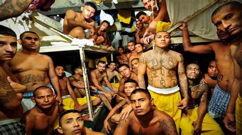 Image Result For Worst Prison In The World Prison Ms 13 Gang Street