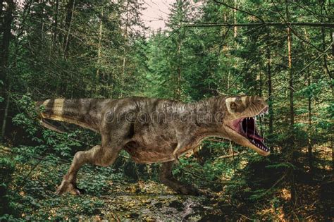 Tyrannosaurus Rex Dinosaur Photorealistic Representation Dynamic View