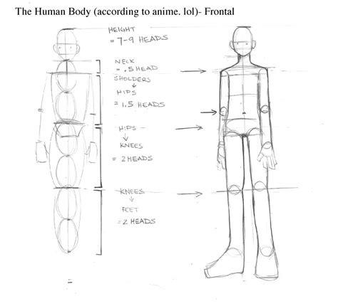 How To Draw Male Anime Body