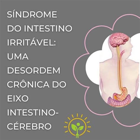 Modulação intestinal na síndrome do Intestino Irritável ANDREIA TORRES