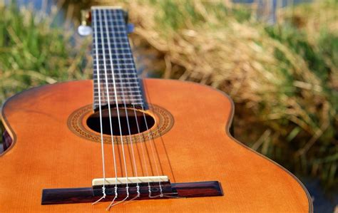 Instrumentos de cuerda Qué son cuáles son características historia