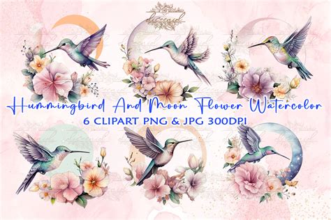 Hummingbird Flower Watercolor Clipart Graphic By Diceenid Creative