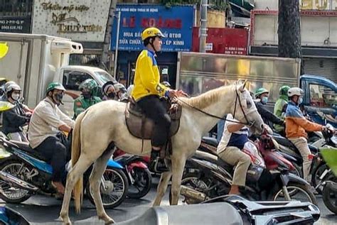Cưỡi ngựa trên đường phố Có nghĩ đến an toàn cho mọi người