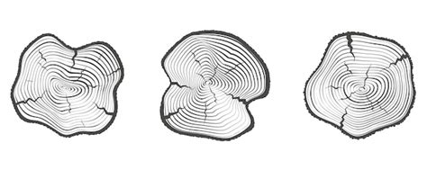 Premium Vector Tree Rings Wooden Logs Circle Annual Stump Texture And
