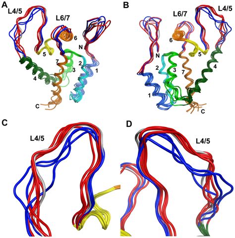 Structural Models Of The HIV 2 Capsid N Terminal Domain Models Were