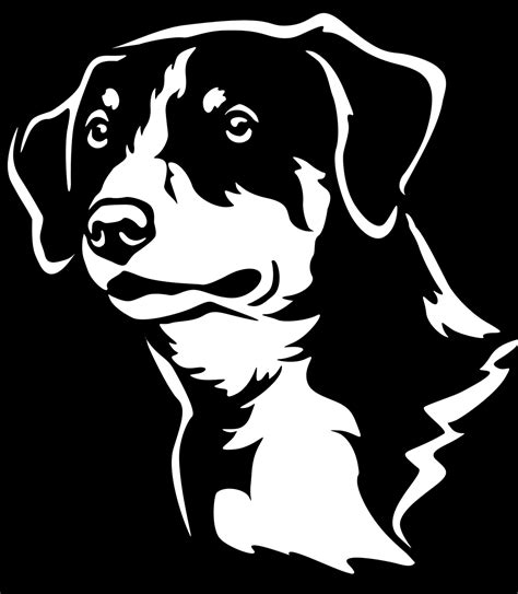 Autoaufkleber Folienaufkleber Entlebucher Kopf 4pfotenshop