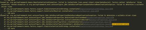 how to use spring datasource hikari jdbc url and spring datasource hikari driver class name