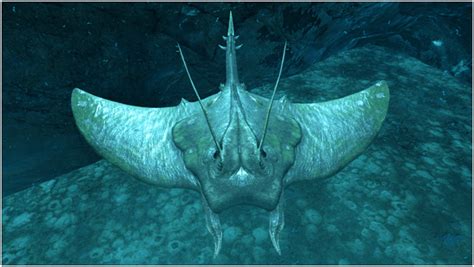 Ark Manta Abilities Controls Taming Food Saddle Breeding