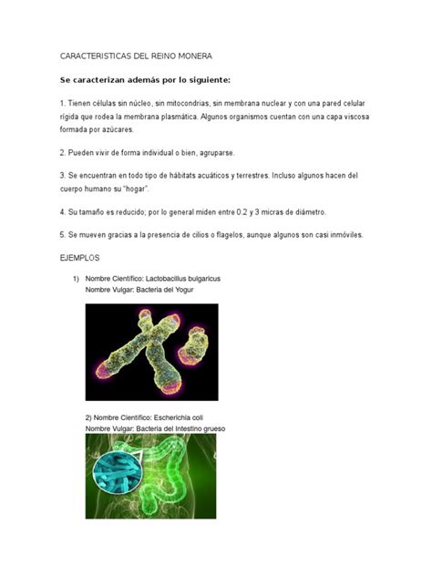 PDF Caracteristicas Del Reino Monera DOKUMEN TIPS